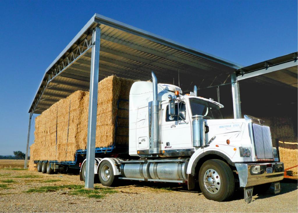 Rain damage on hay and how to avoid it