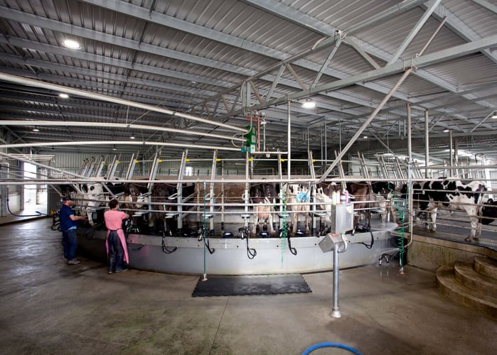 Central agricultural dairy buildings