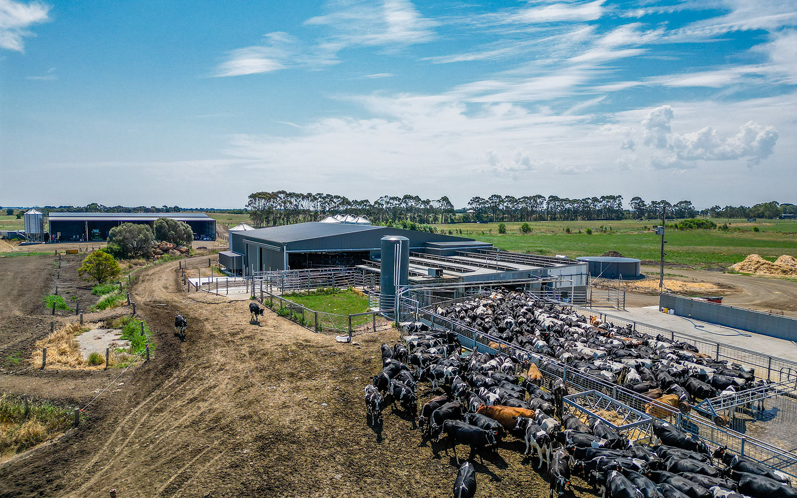 Central agricultural dairy buildings