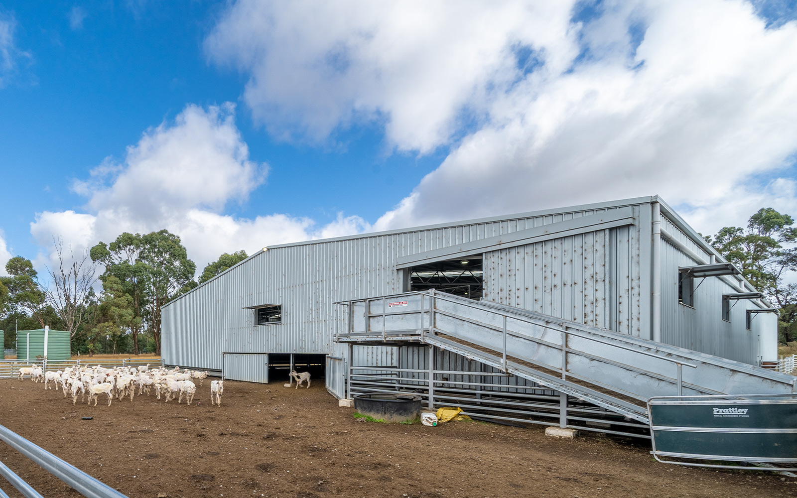Commander Ag-Quip shearing shed