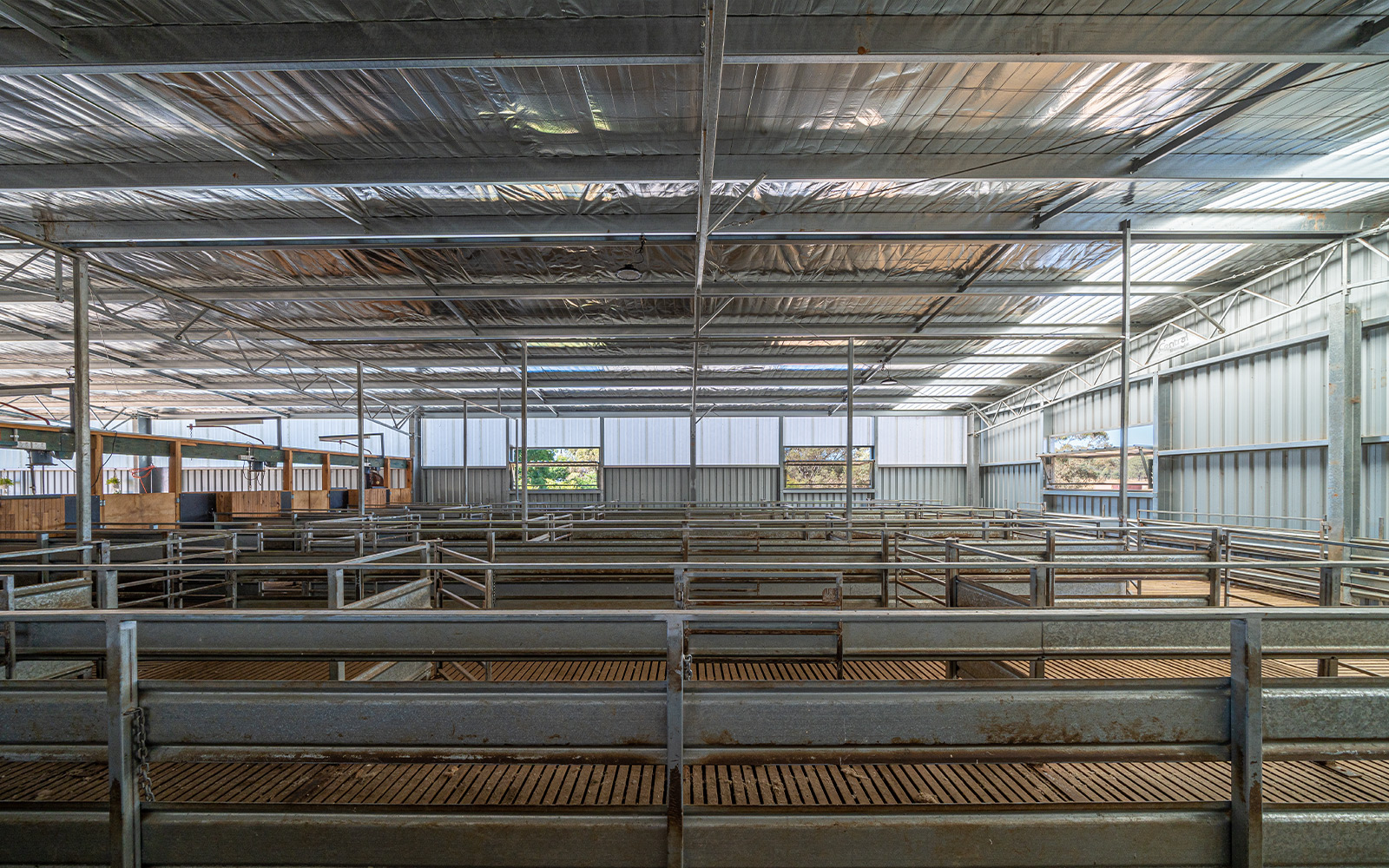 Kilbirnie Farms shearing shed