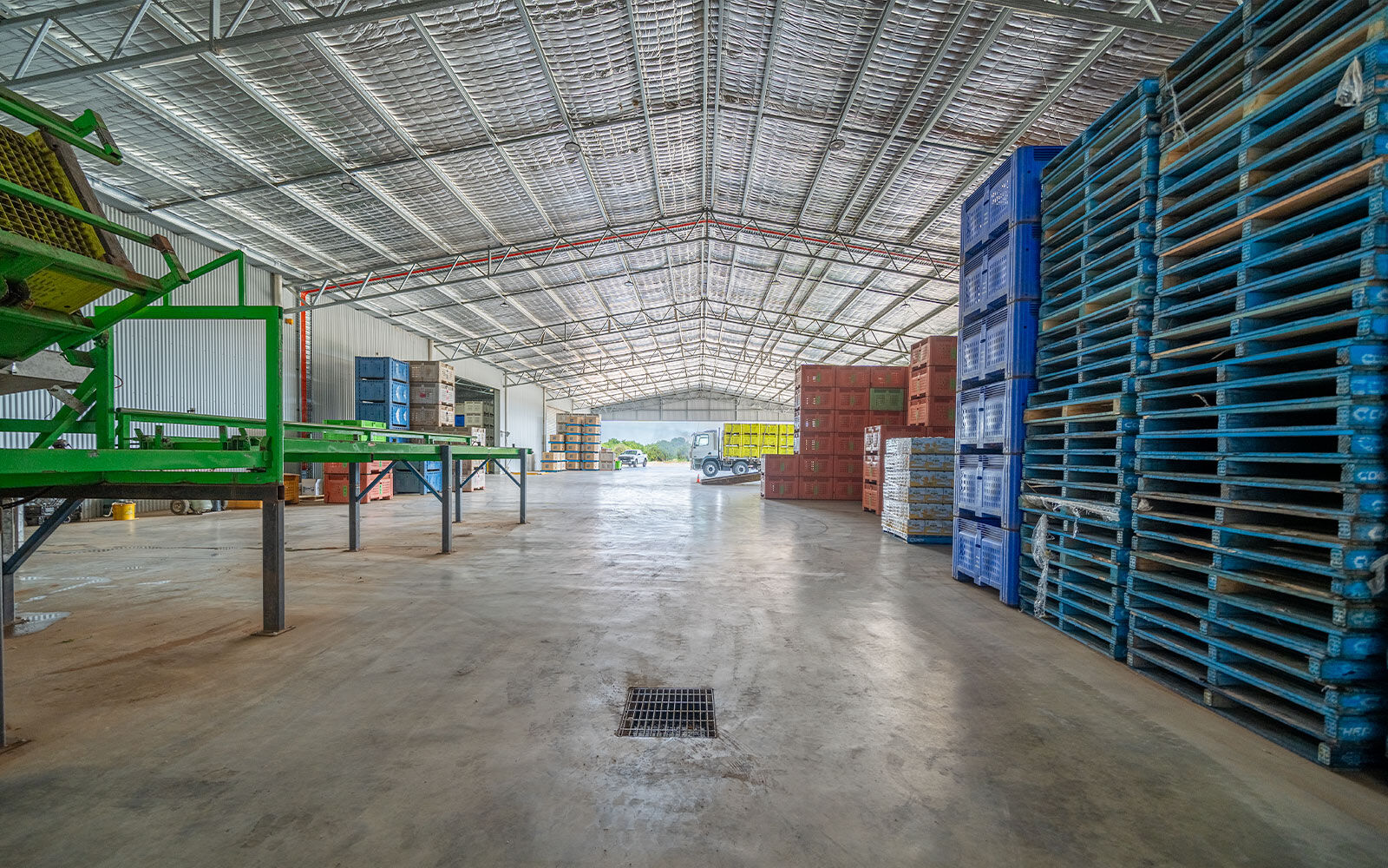 Golden Grove Citrus packing shed