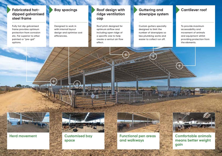 Central agricultural feedlots