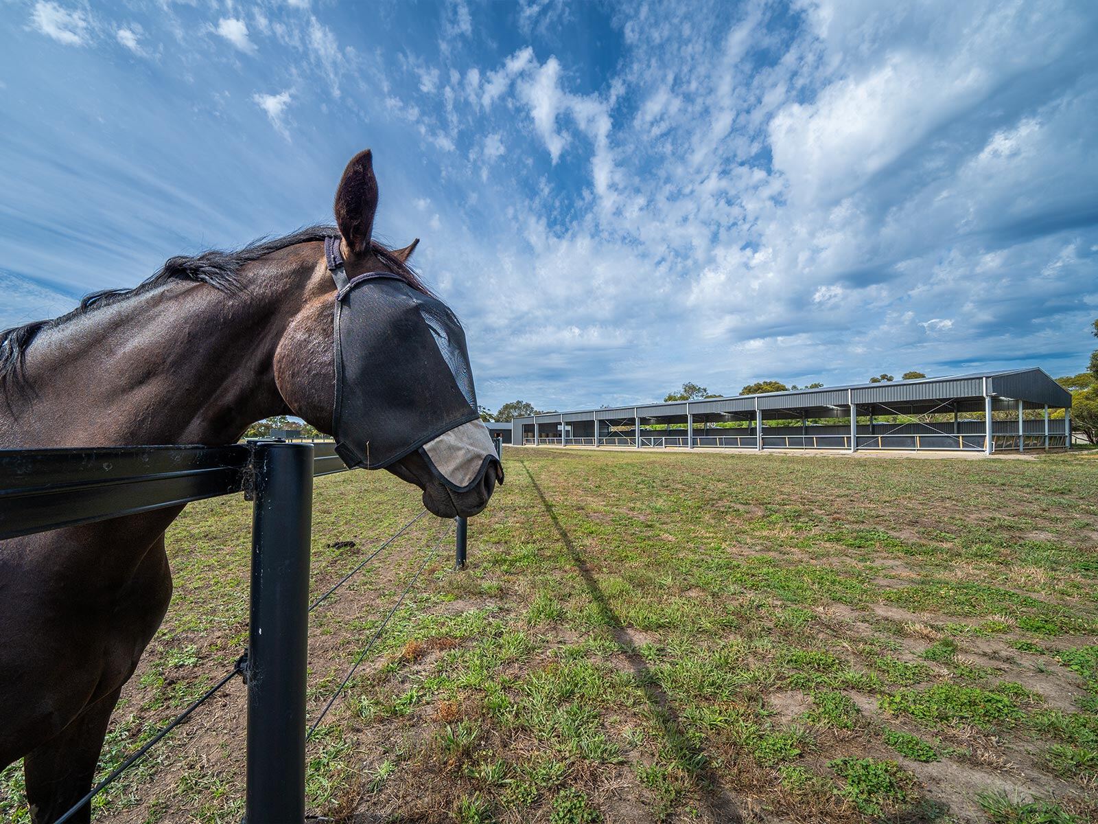 Central equinabuild indoor dressage arena