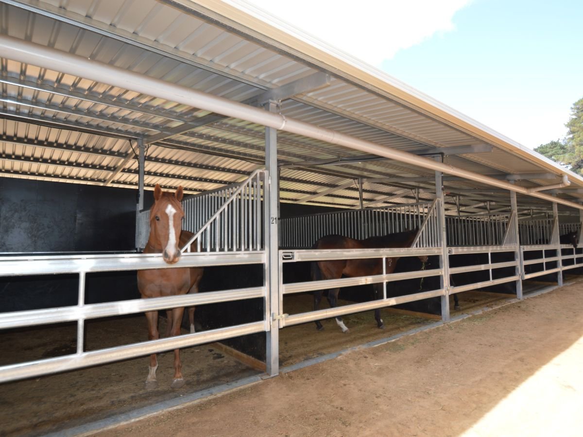 Everything you need to know about building horse stables