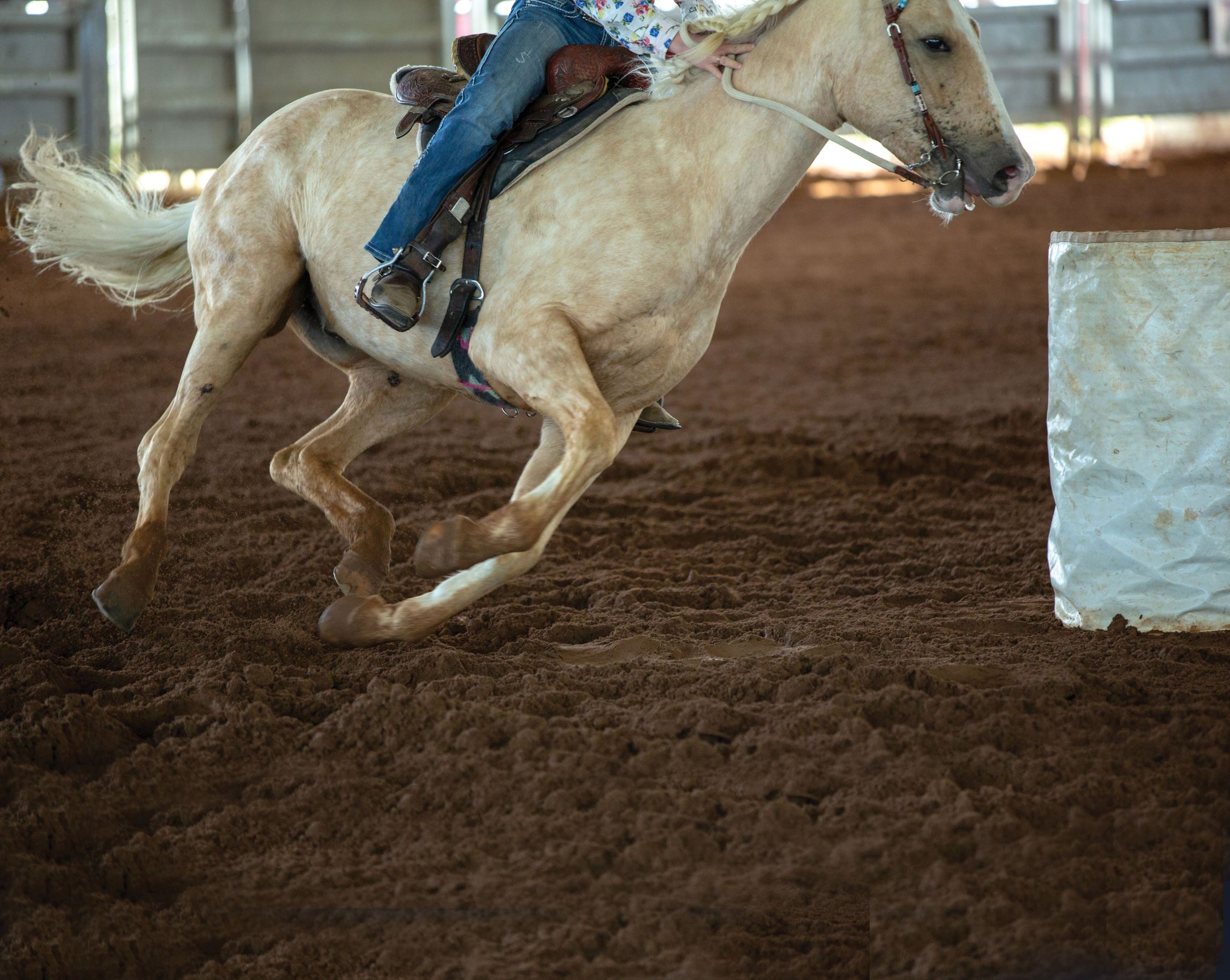 Central equinabuild western riding arena