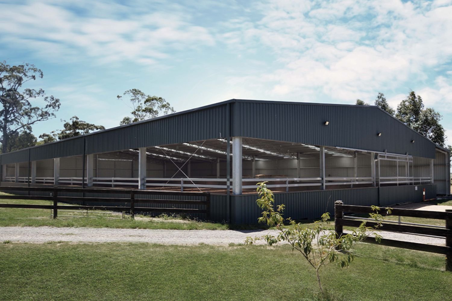 Springmount campdrafting arena